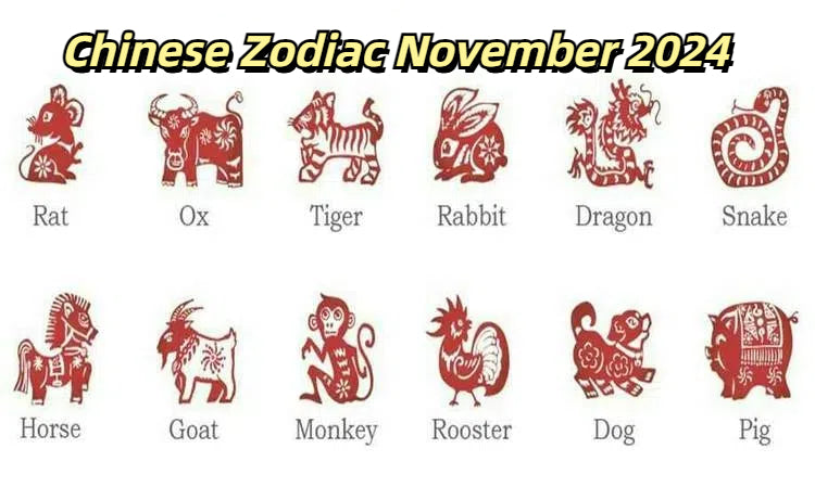 November Zodiac Forecast: Career, Love, and Health Insights for Each S ...