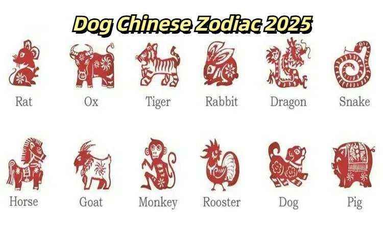 Horoscope 2025 du Chien : prévisions annuelles pour l'amour, la carriè ...