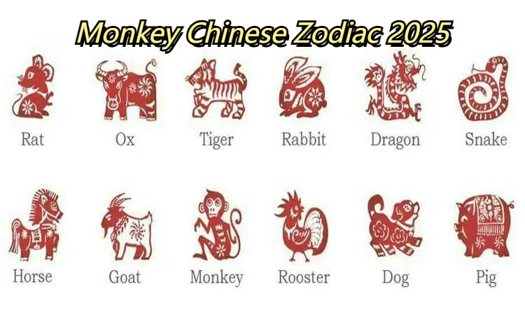 Monkey 2025 Horoscope: Yearly Predictions for Love, Career, Finance, a ...