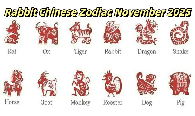 November 2024 Rabbit Horoscope: Career Growth, Financial Planning, and ...