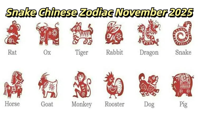 Horóscopo de la Serpiente para noviembre de 2024: Estrategias profesio ...